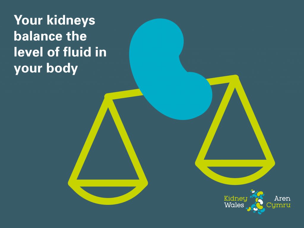 Kidney Wales Charity Christmas Calendar 2021 - Kidney Wales